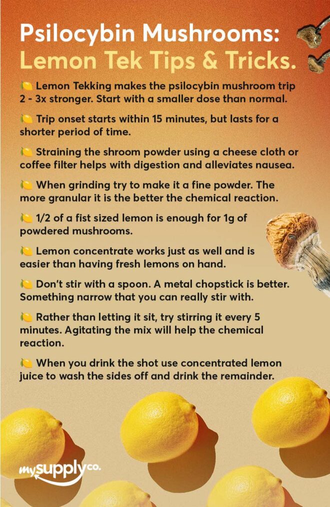 How To Lemon Tek Magic Mushrooms: Tips, Tricks, & FAQs | My Supply Co.